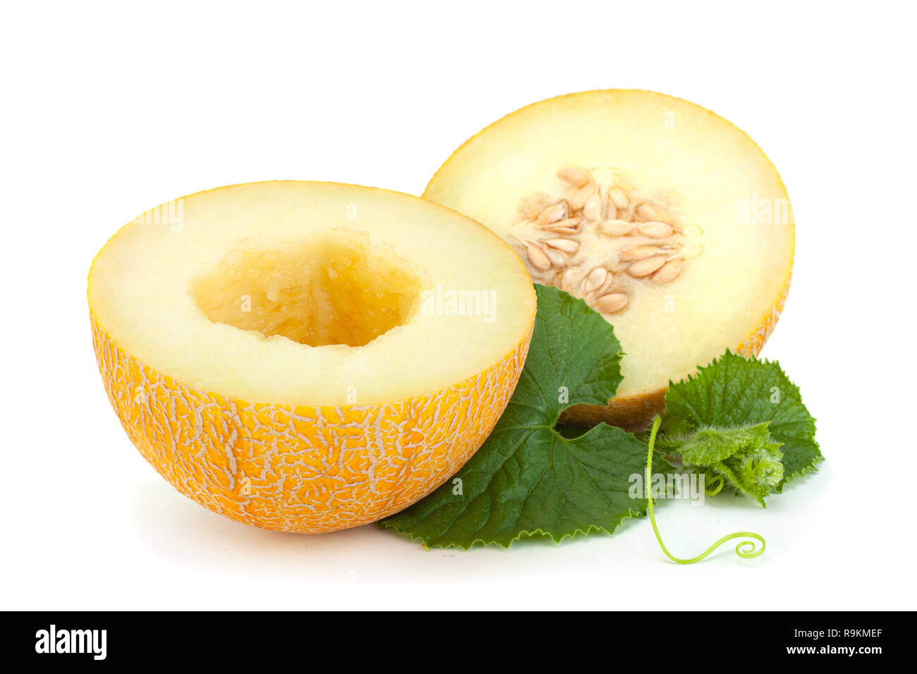 Melon sweet fruit closeup isolated on white background Stock Photo - Alamy