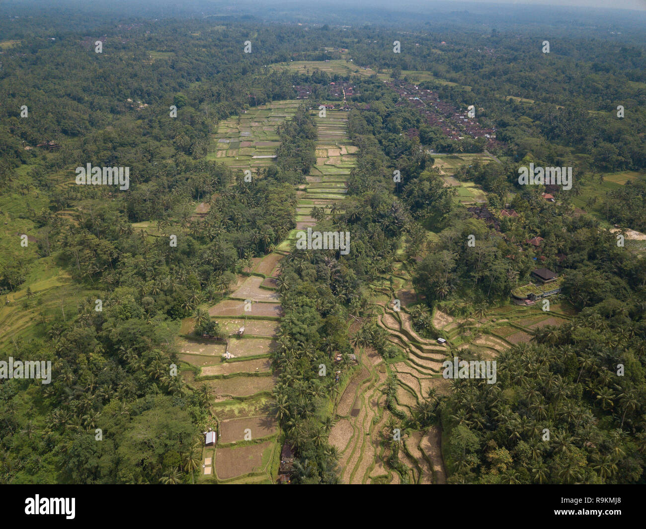 Rice terrace aerial hi-res stock photography and images - Alamy