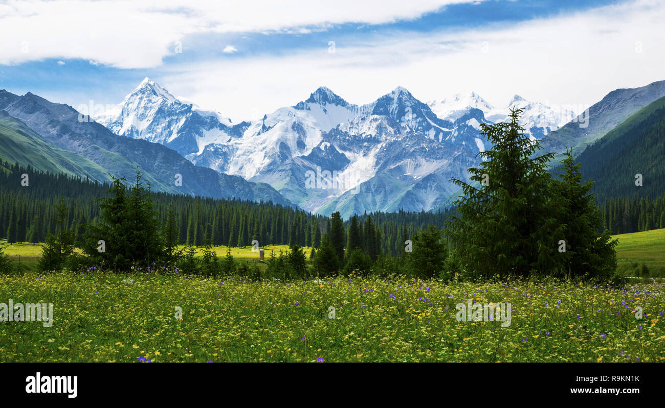 Snow Mountain in July Stock Photo - Alamy