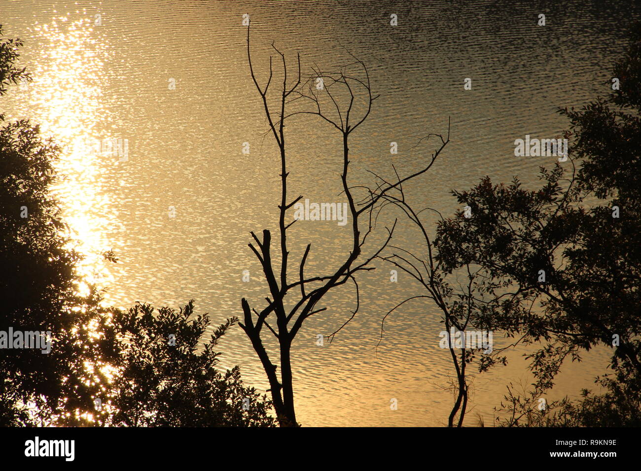 Glimpse of time Stock Photo - Alamy