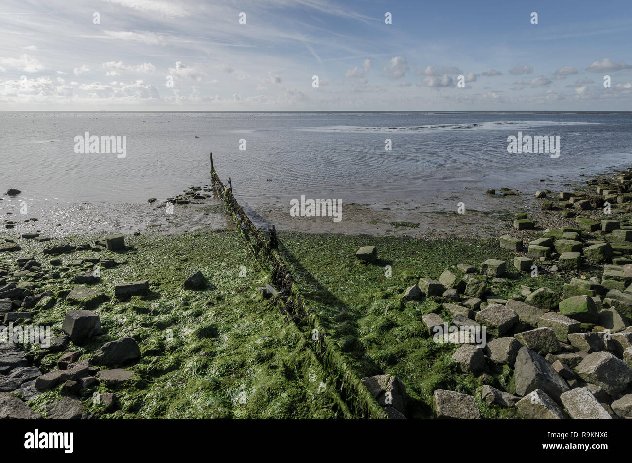 National park waddenzee hi-res stock photography and images - Alamy