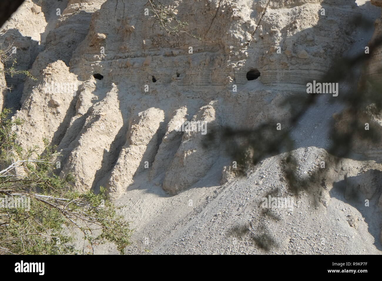 En gedi hi-res stock photography and images - Alamy