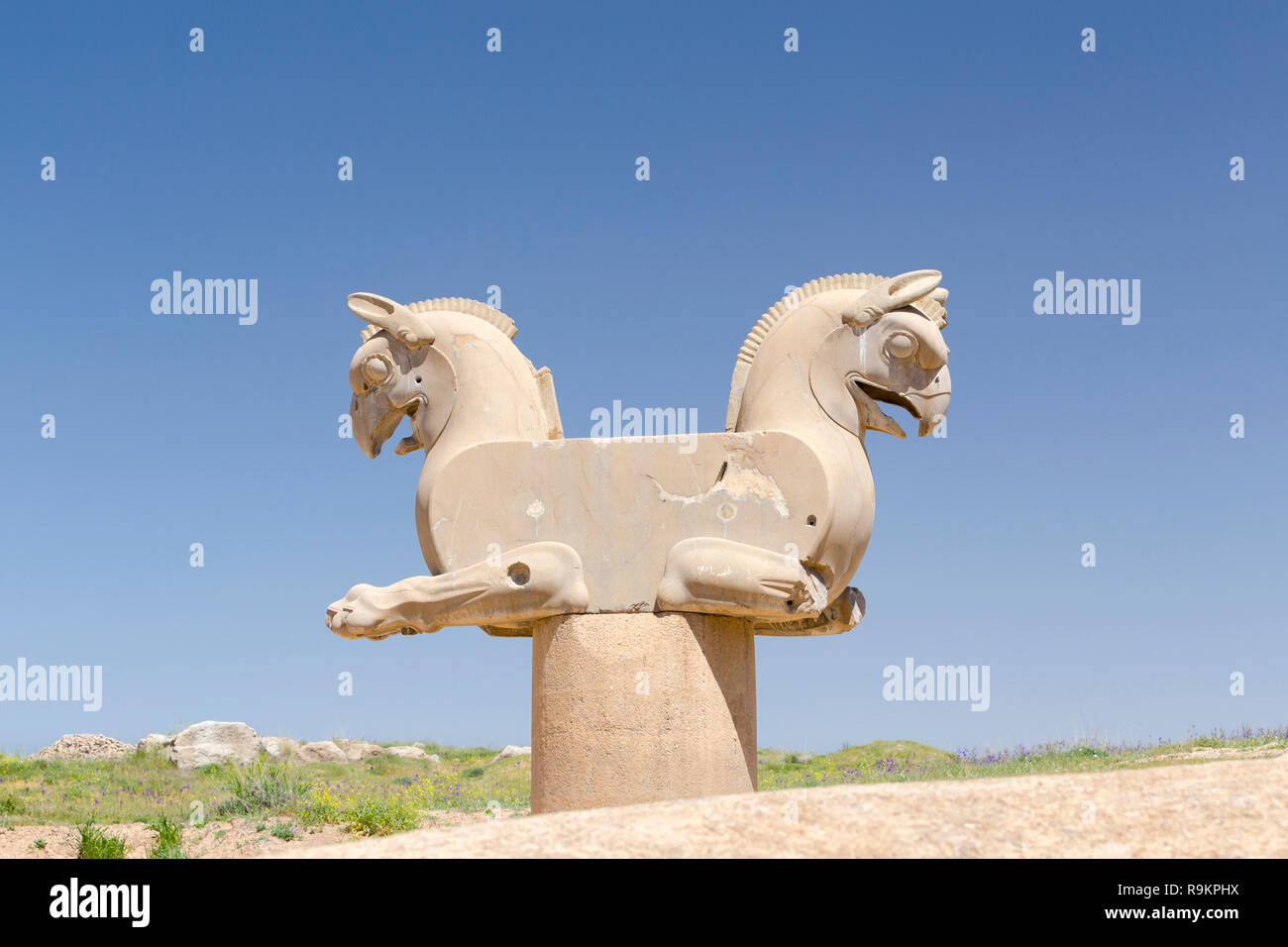 The eagle griffin or Homa, Persepolis, Iran Stock Photo - Alamy