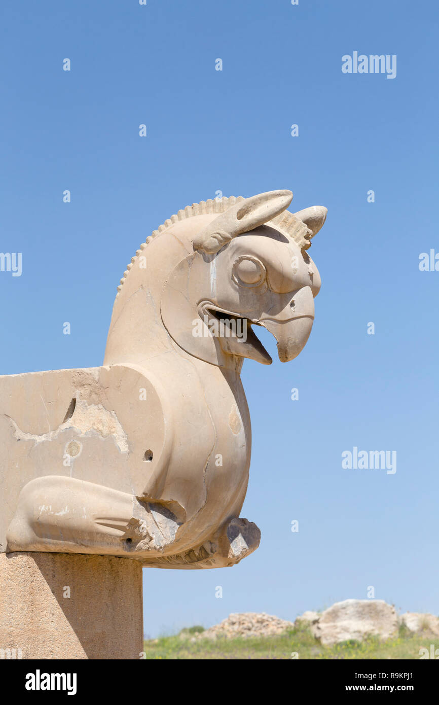 The eagle griffin or Homa, Persepolis, Iran Stock Photo - Alamy