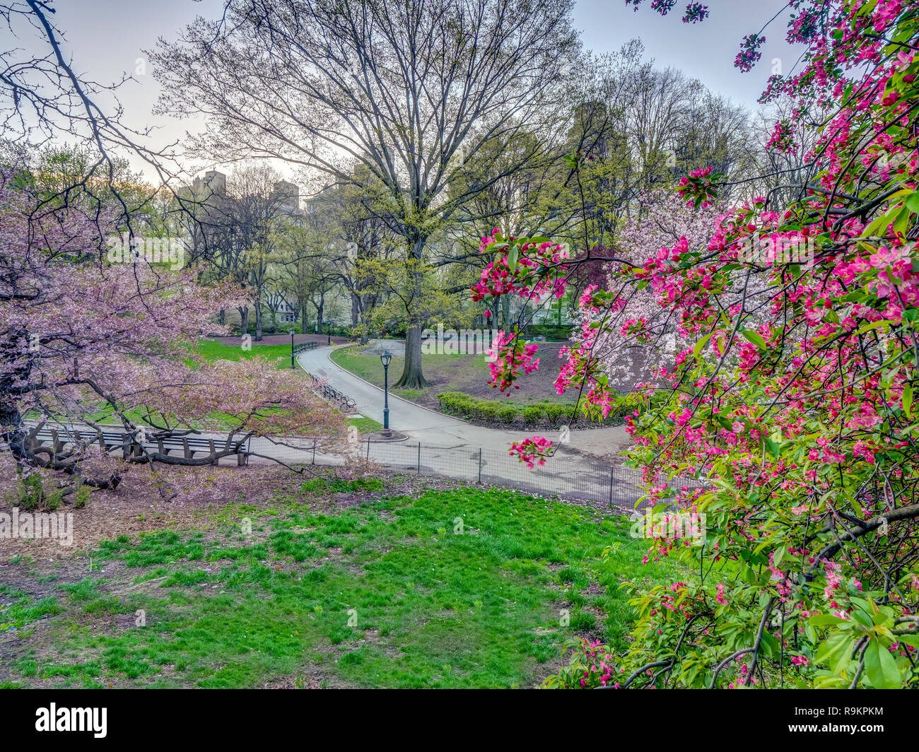 Central Park, Manhattan, New York City in spring Stock Photo - Alamy