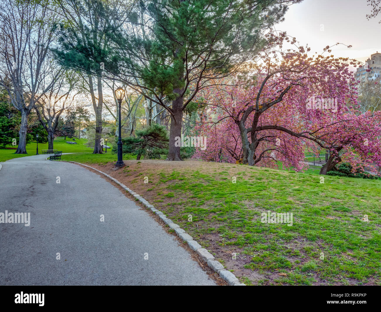 Central Park, Manhattan, New York City in spring Stock Photo - Alamy