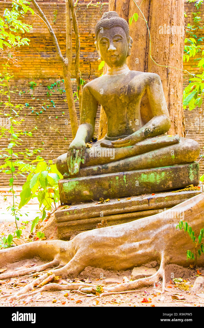 Wat umong park hi-res stock photography and images - Alamy