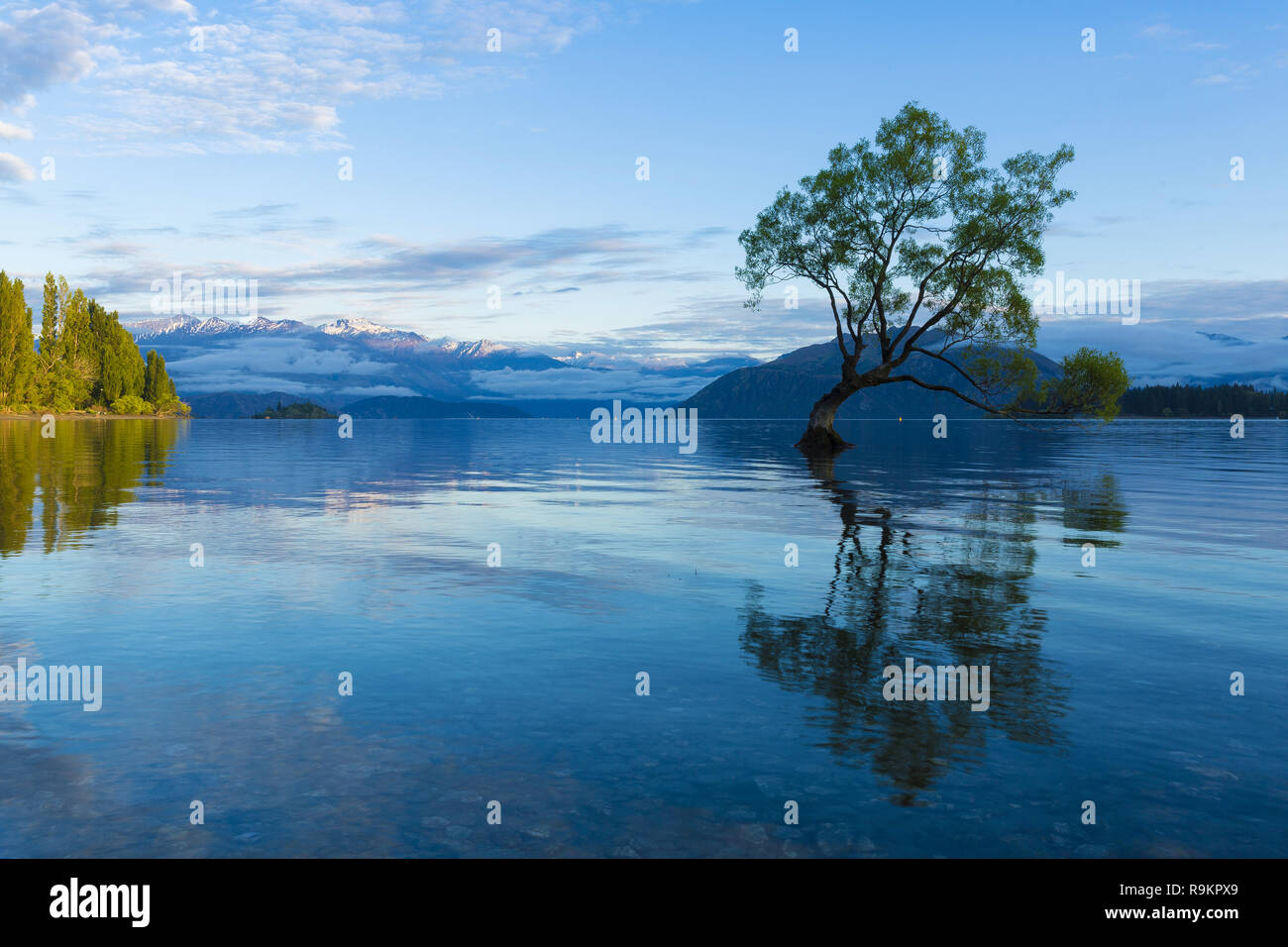 Early morning Vanaka Stock Photo - Alamy