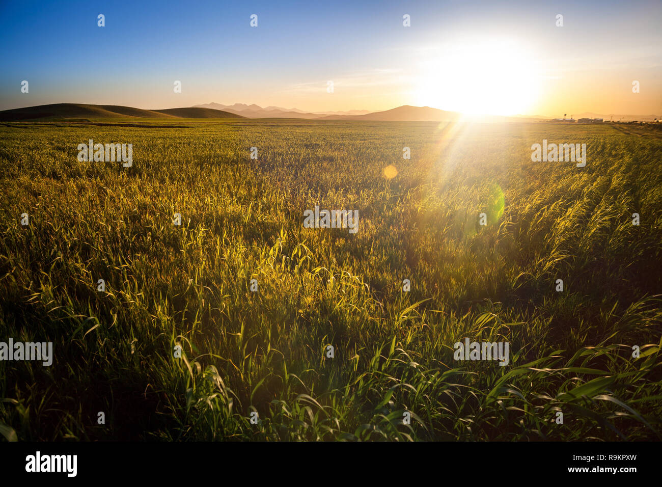 Beautiful Landscape in Iran with Sun Stock Photo - Alamy