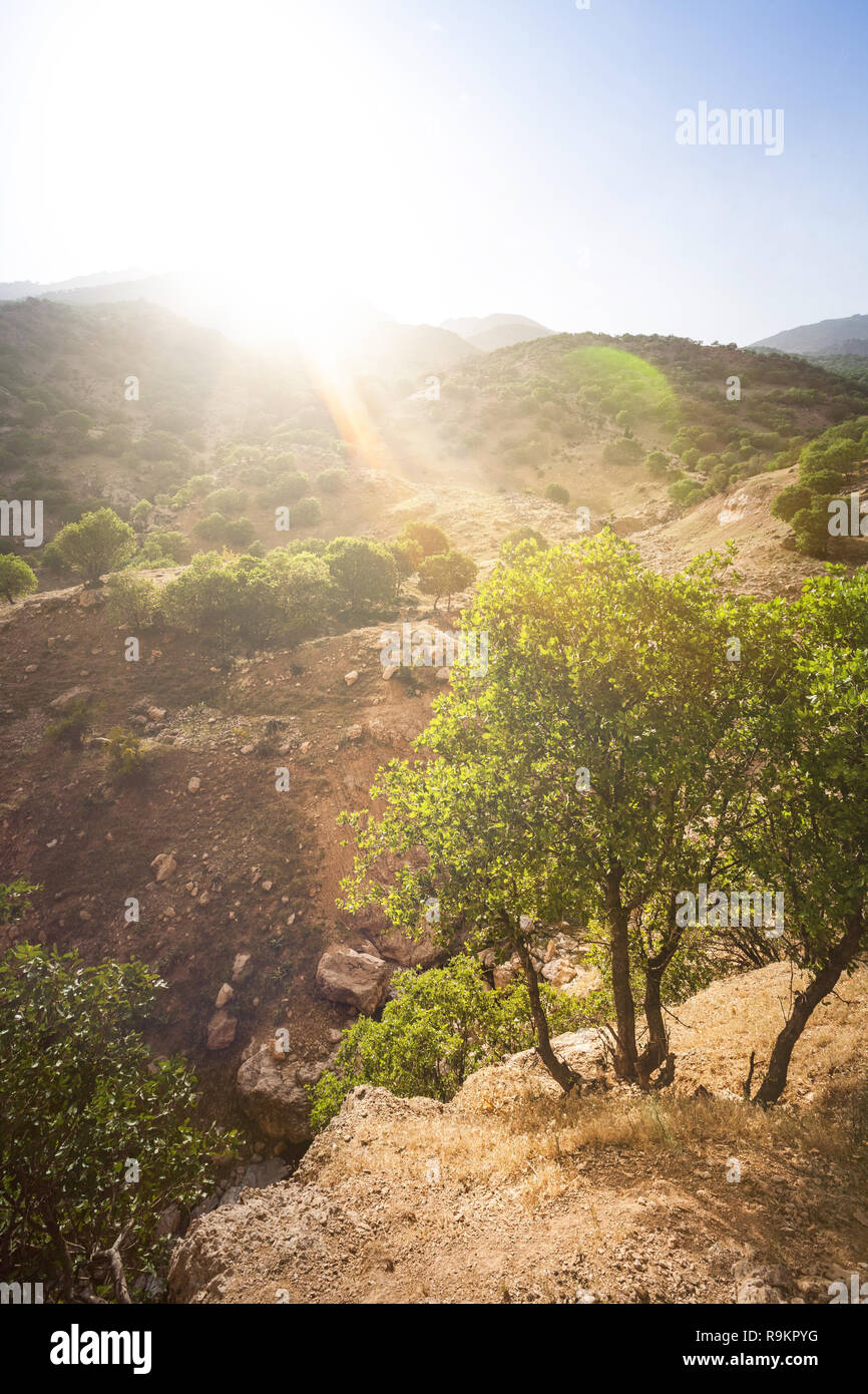 Iranian hiker hi-res stock photography and images - Alamy