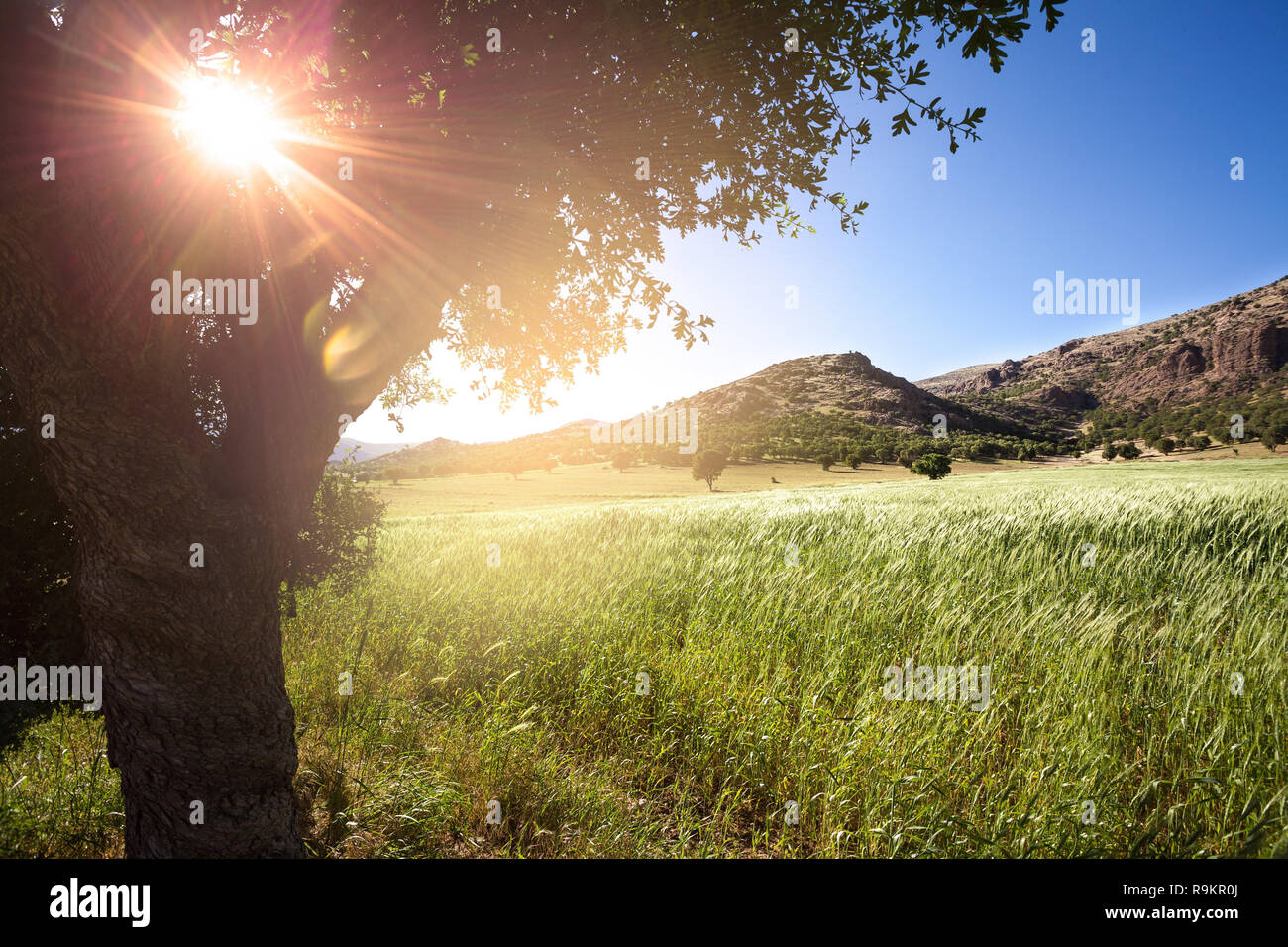 Iranian hiker hi-res stock photography and images - Alamy