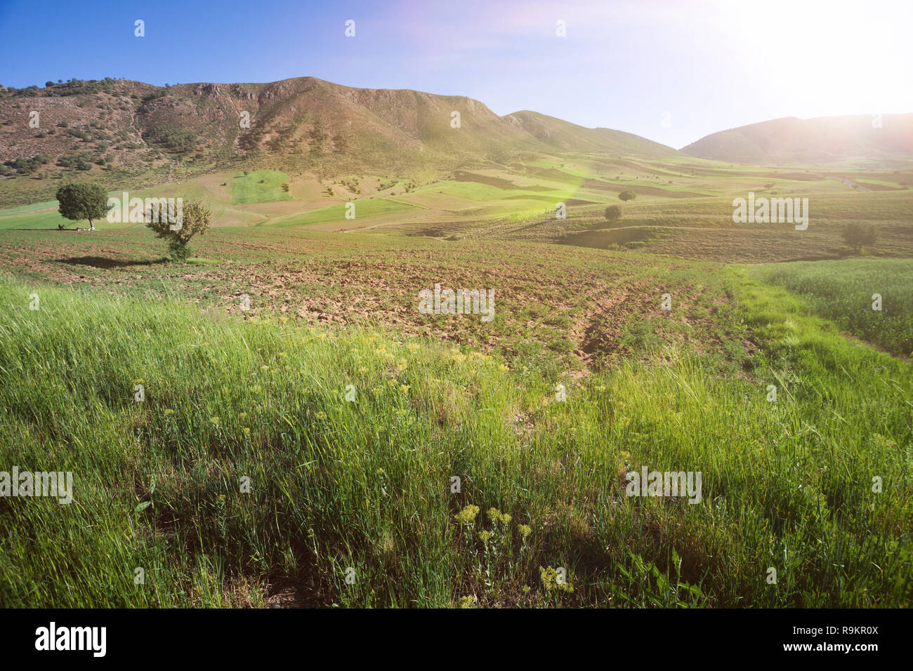 Beautiful Landscape in Iran with Sun Stock Photo - Alamy