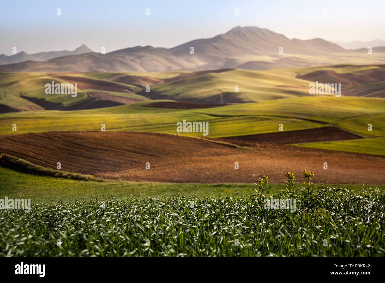 Beautiful Landscape Iran