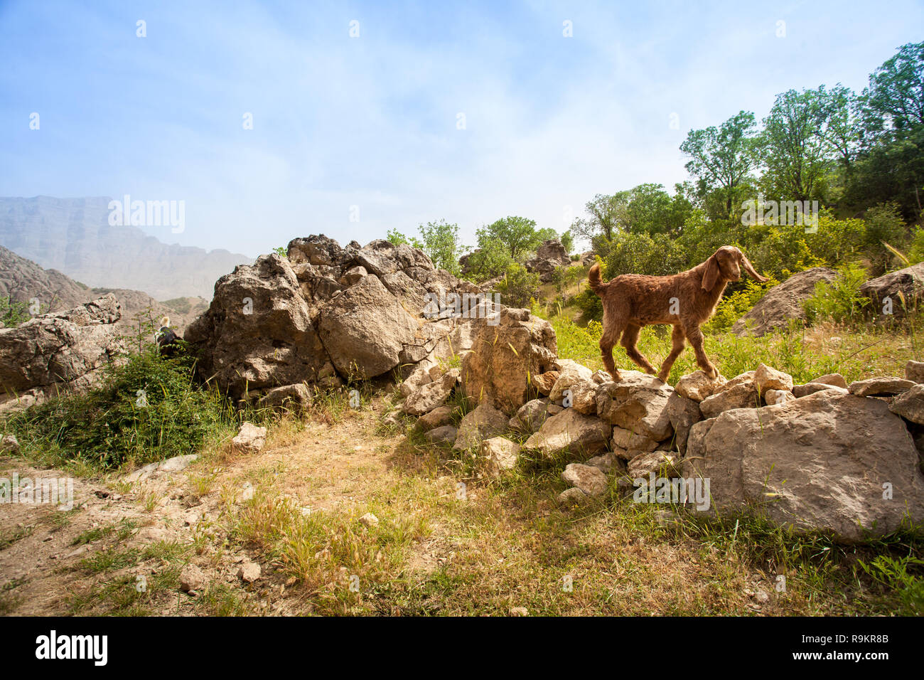 Beautiful Landscape in Iran with Sun Stock Photo - Alamy