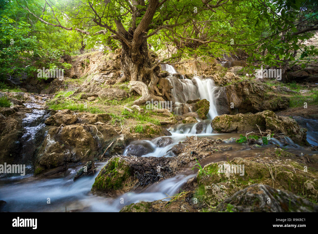 Persian landscapes hi-res stock photography and images - Alamy