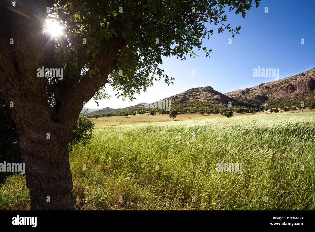 Beautiful Landscape in Iran with Sun Stock Photo - Alamy