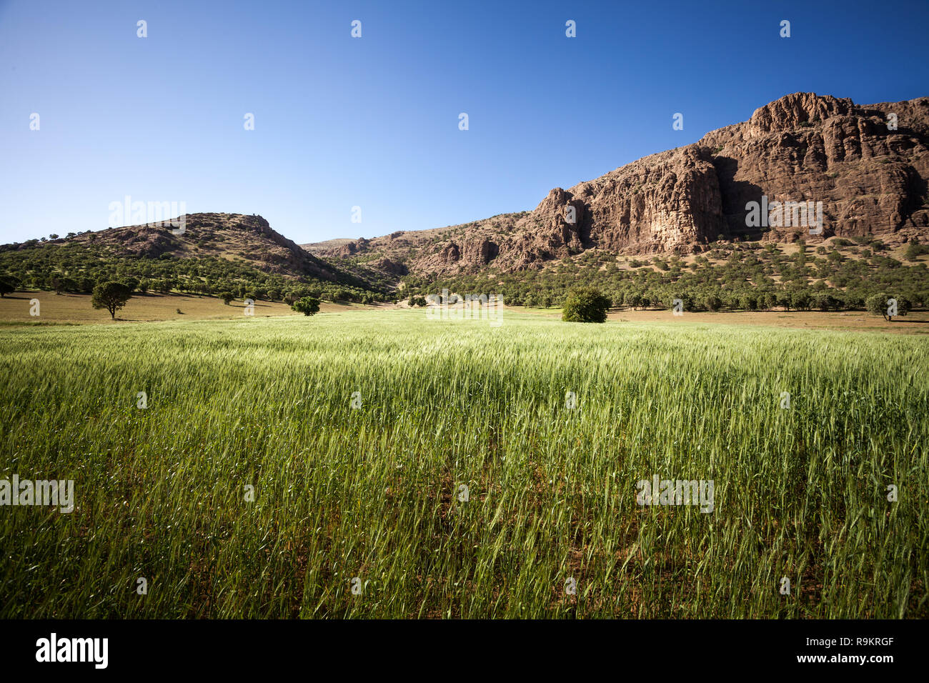 Beautiful Landscape in Iran with Sun Stock Photo - Alamy