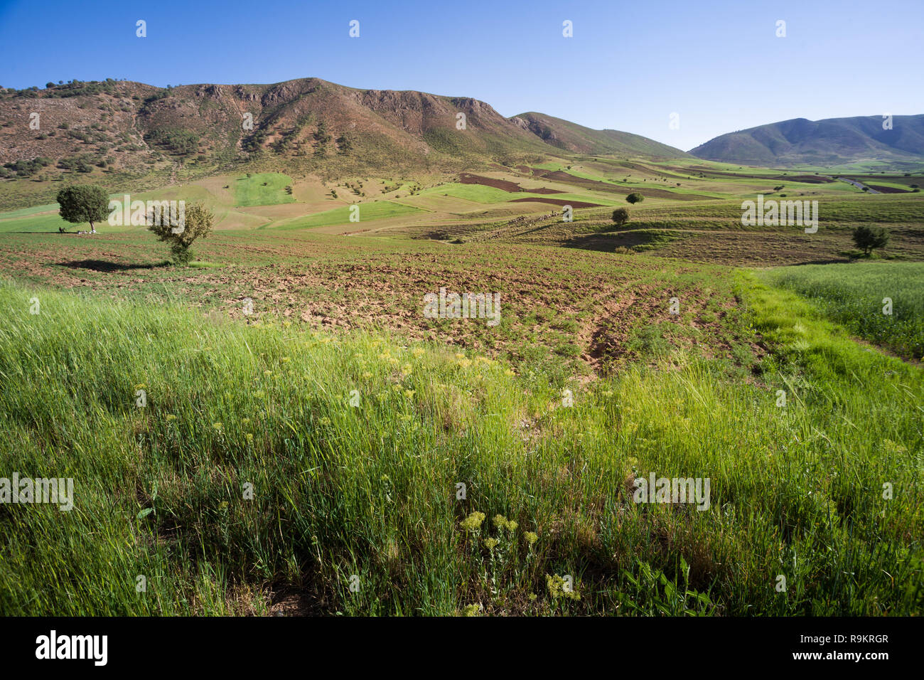 Beautiful Landscape in Iran with Sun Stock Photo - Alamy