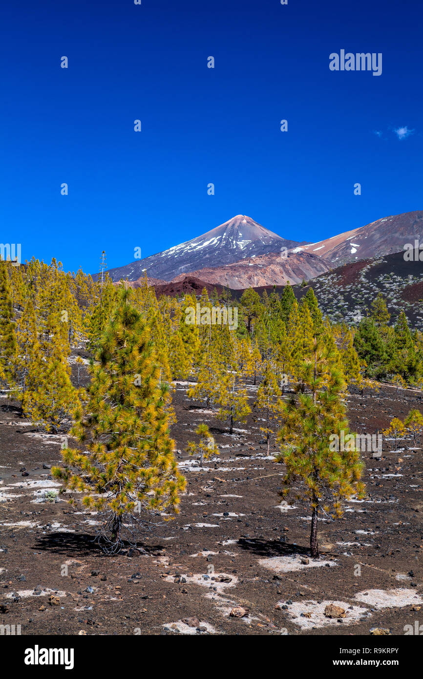 Volcanic landscape and top of Teide in Tenerife, Canary Islands, Spain ...