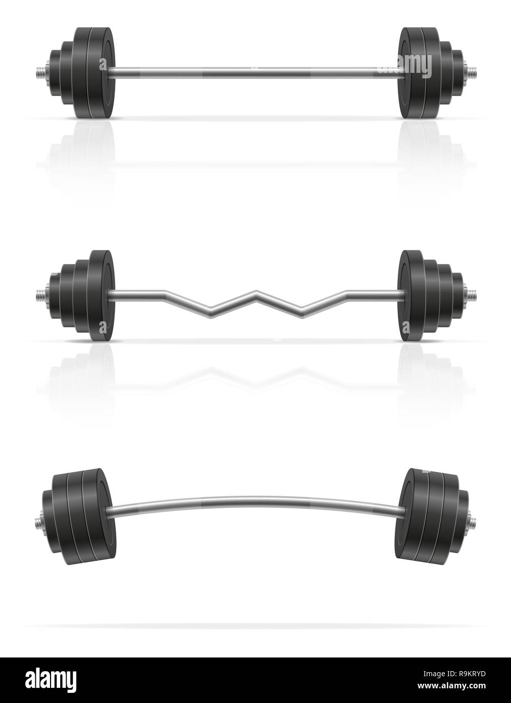 metal barbell for muscle building in gym vector illustration at gray ...