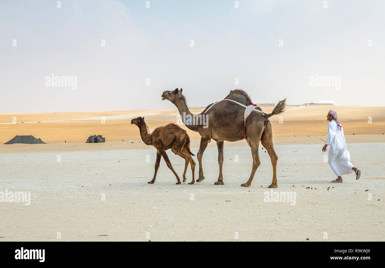 Madinat Zayed, United Arab Emirates, 22nd December, 2018: man with his ...
