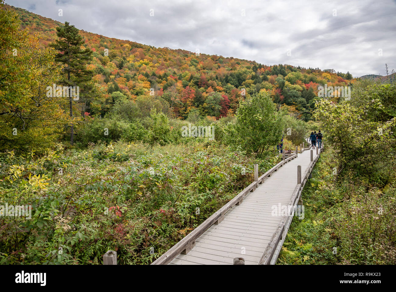 Thundering Brook Trail, Green Mountain National Forest, Woodstock, VT ...