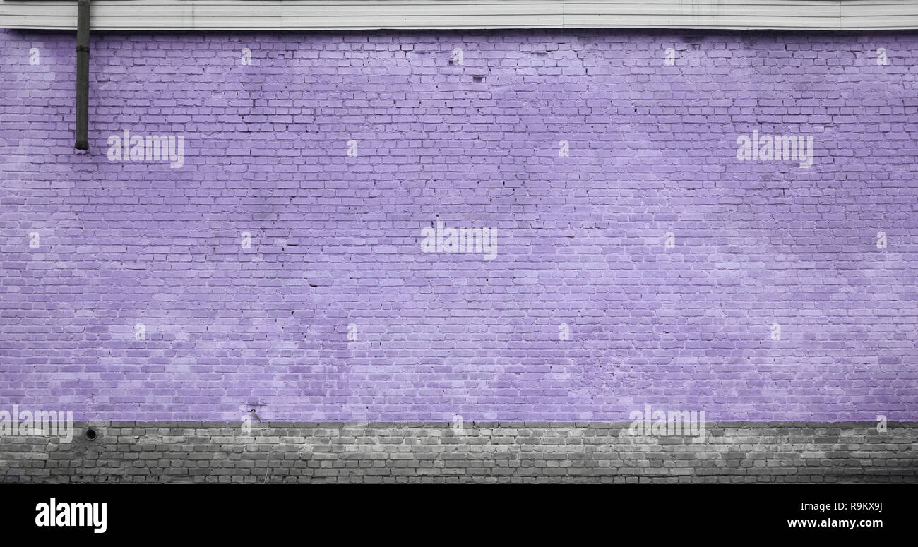 The texture of the brick wall of many rows of bricks painted in violet ...