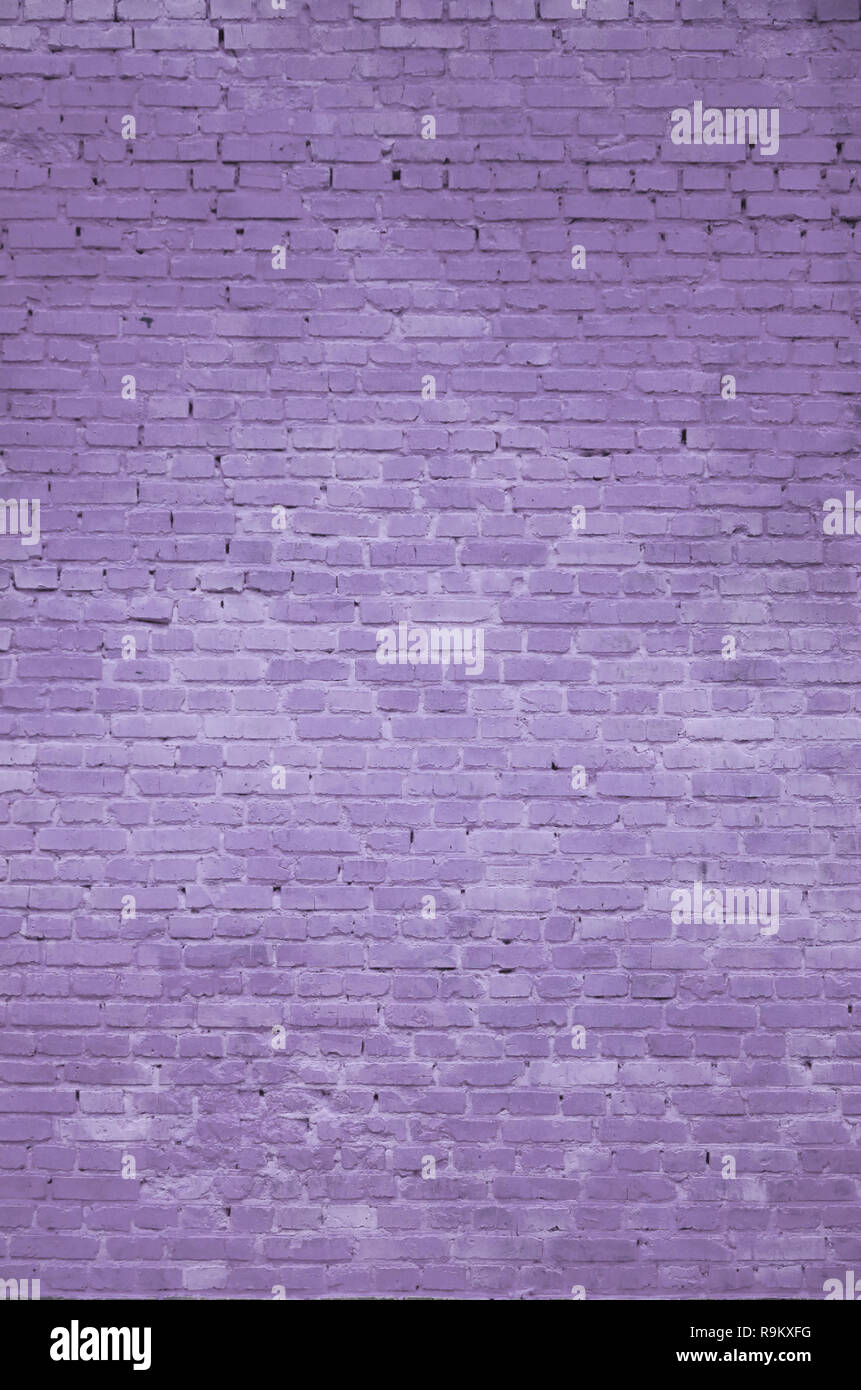 The texture of the brick wall of many rows of bricks painted in violet ...