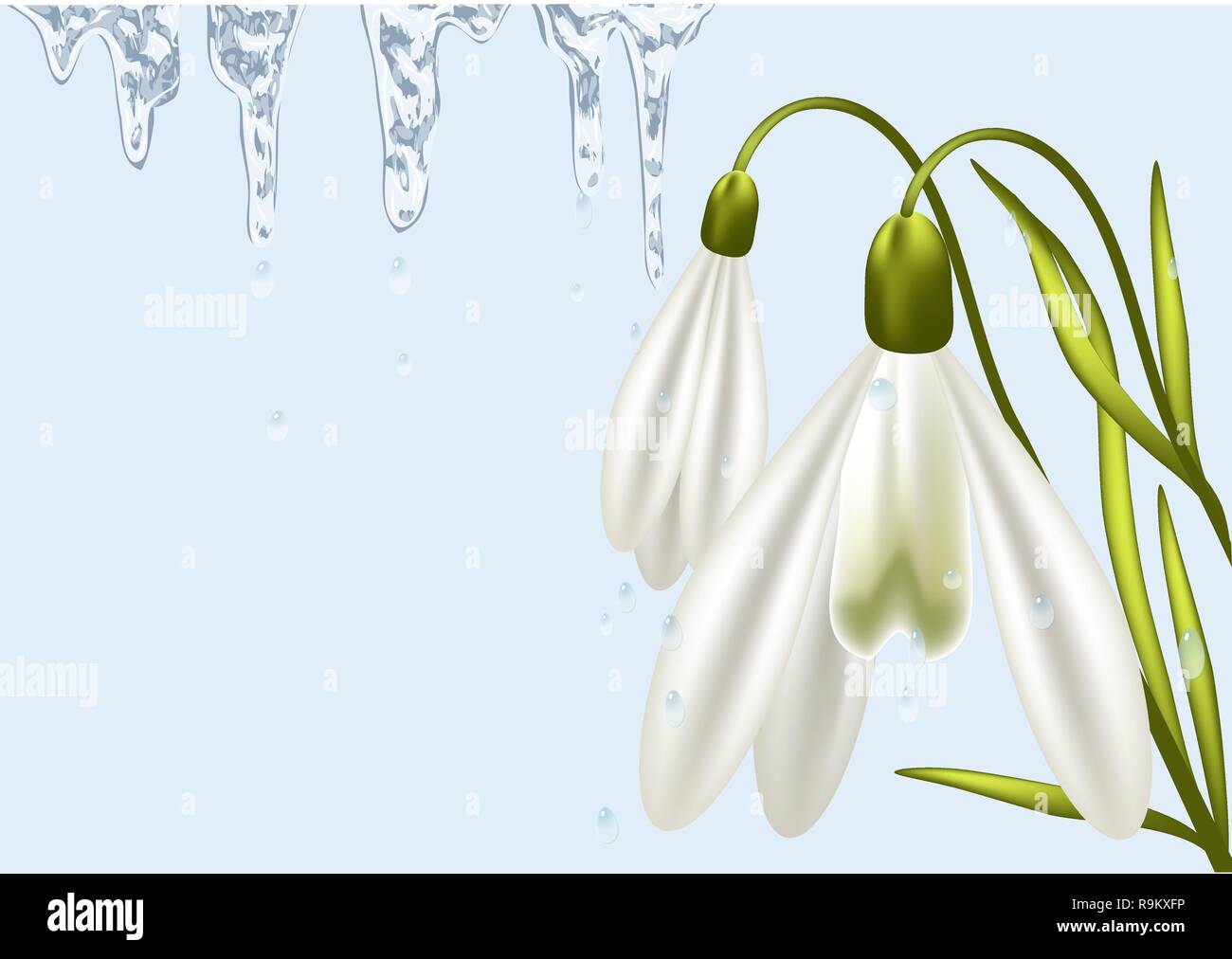 abstract spring background with snowdrop and ice Stock Vector Image ...