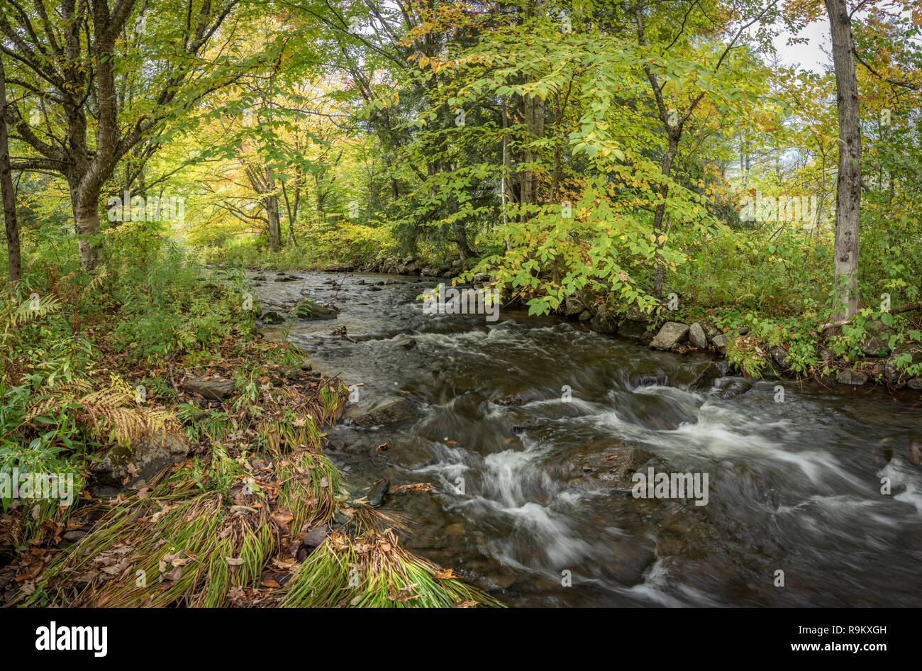 Thundering brook trail hi-res stock photography and images - Alamy