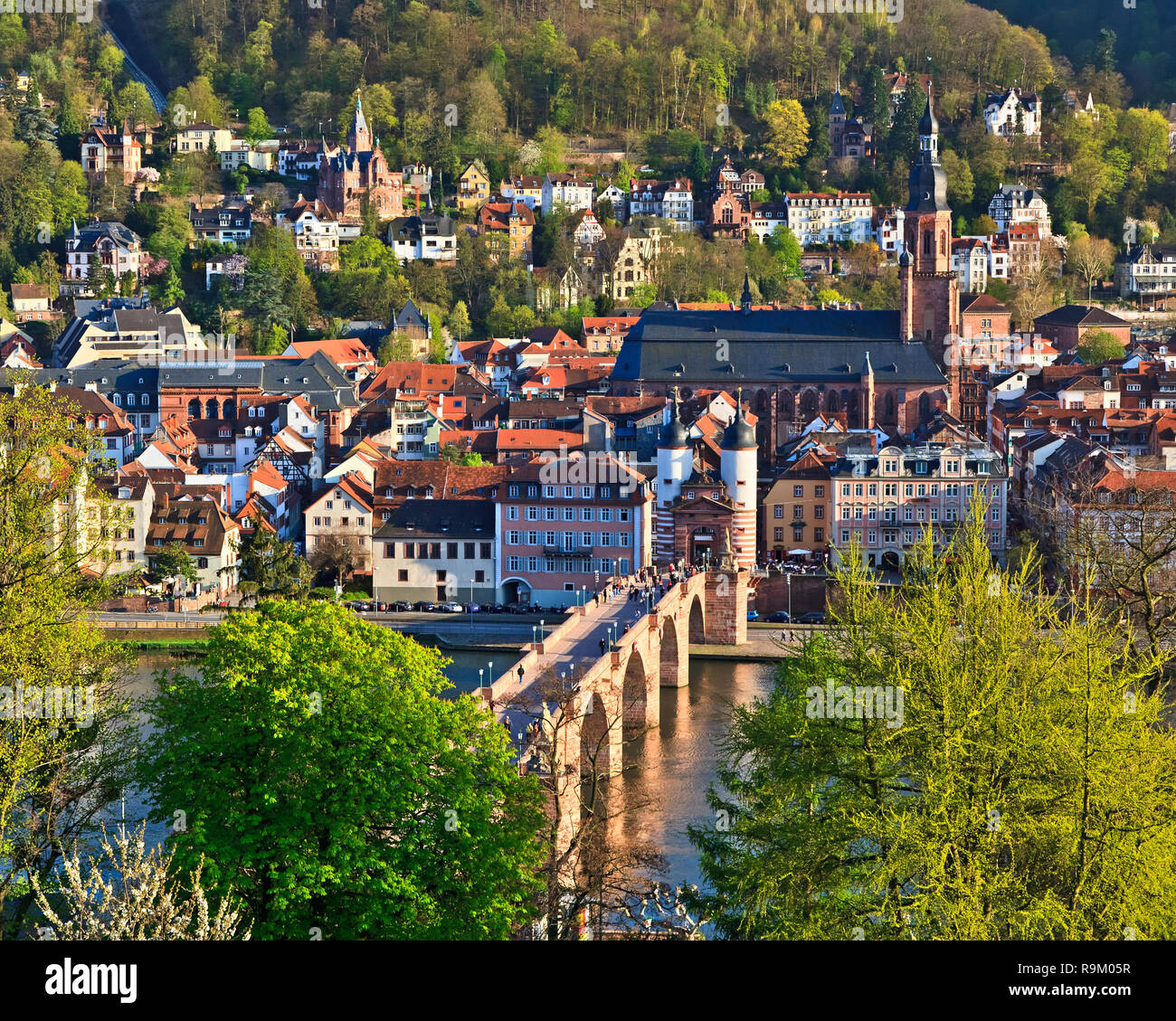 Heidelberg at spring Stock Photo - Alamy