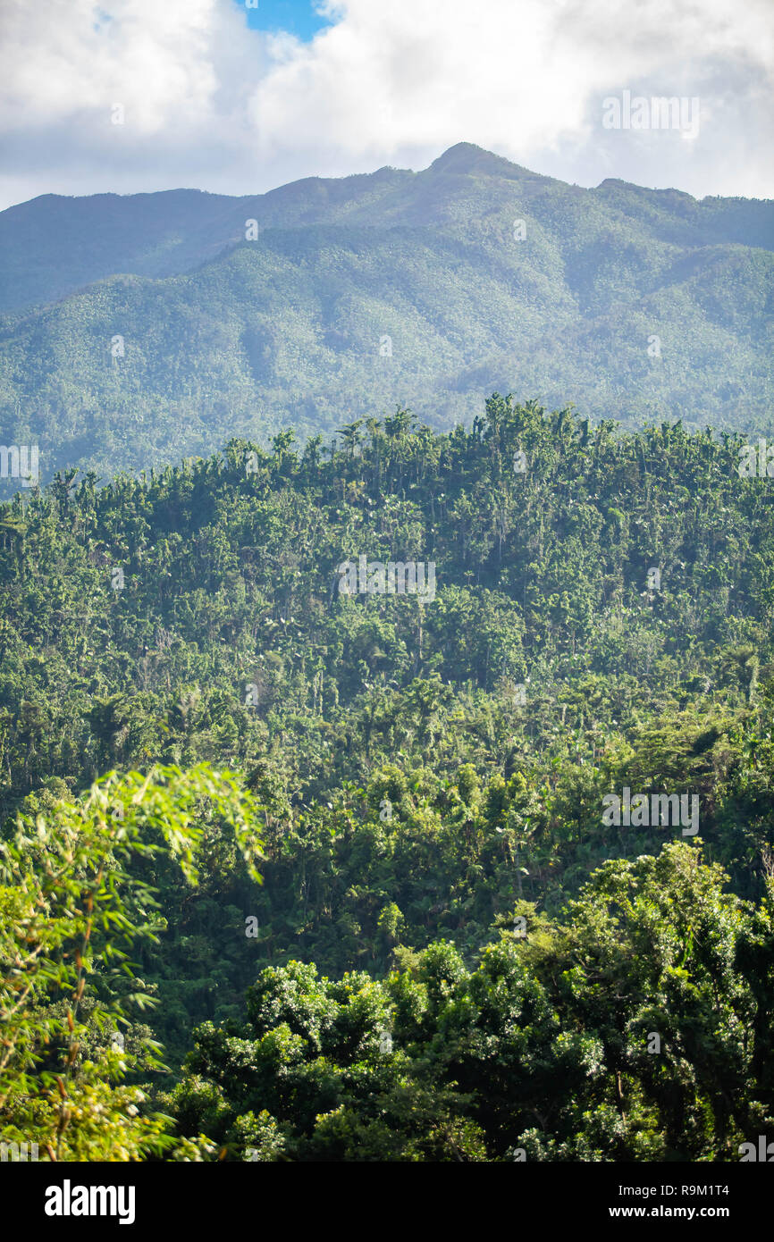 El Yunque National Forest Puerto Rico scenic view destination Stock ...