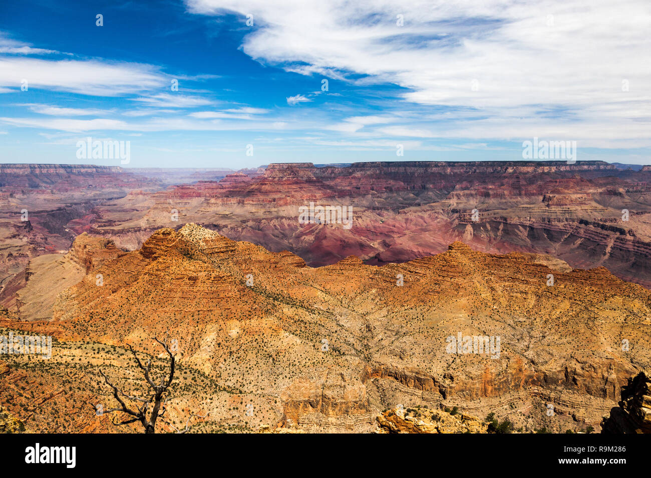 South Rim Grand Canyon carved by the Colorado River in Arizona, has ...