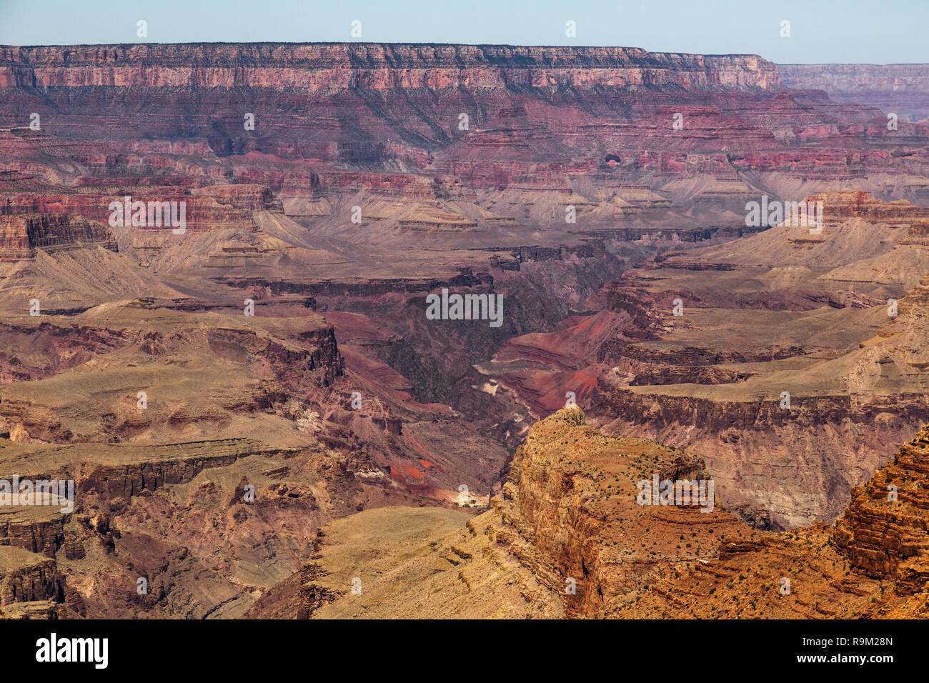 South Rim Grand Canyon carved by the Colorado River in Arizona, has ...