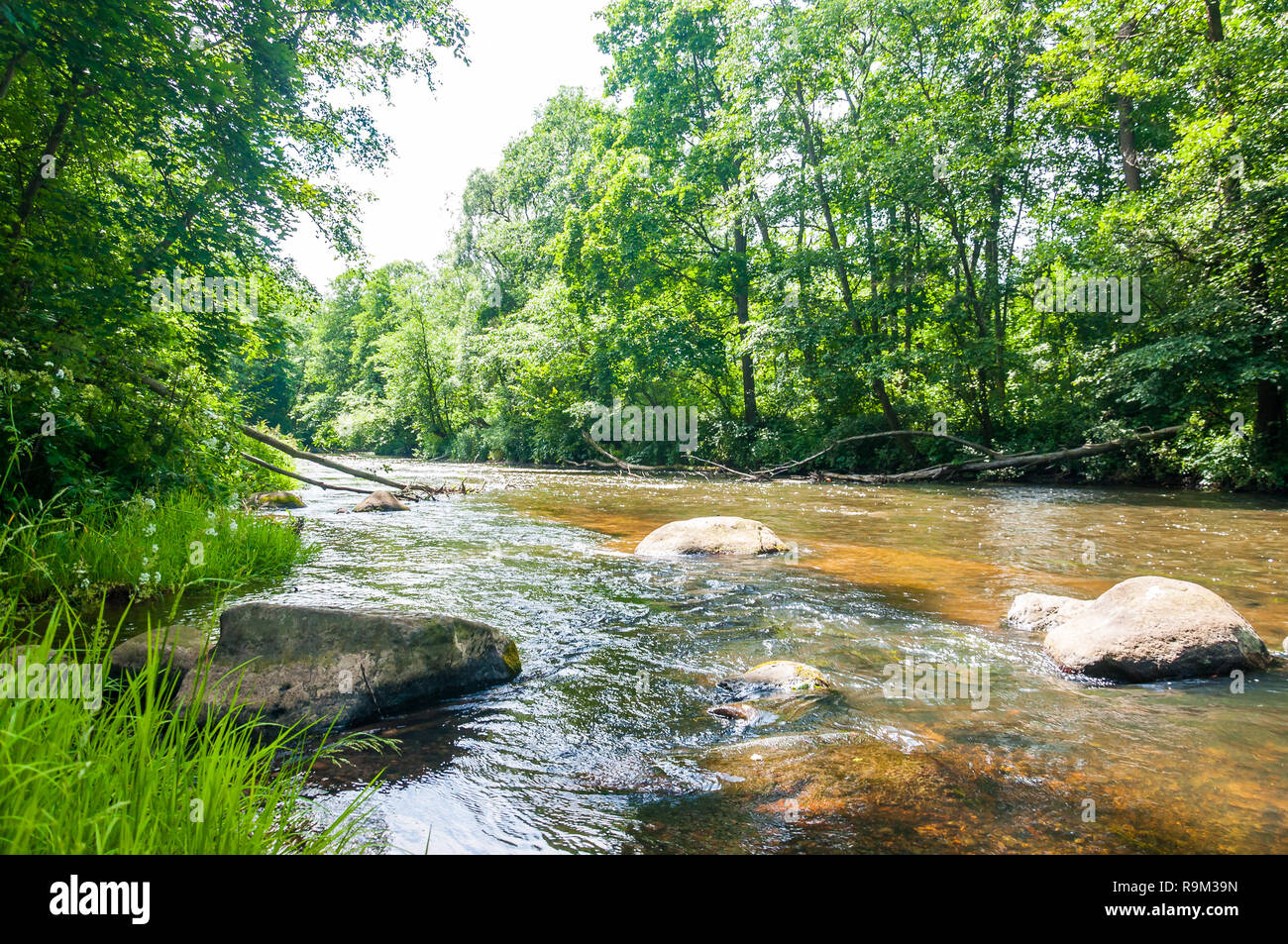 Boulders and rocks on the way of the river that flows through the ...