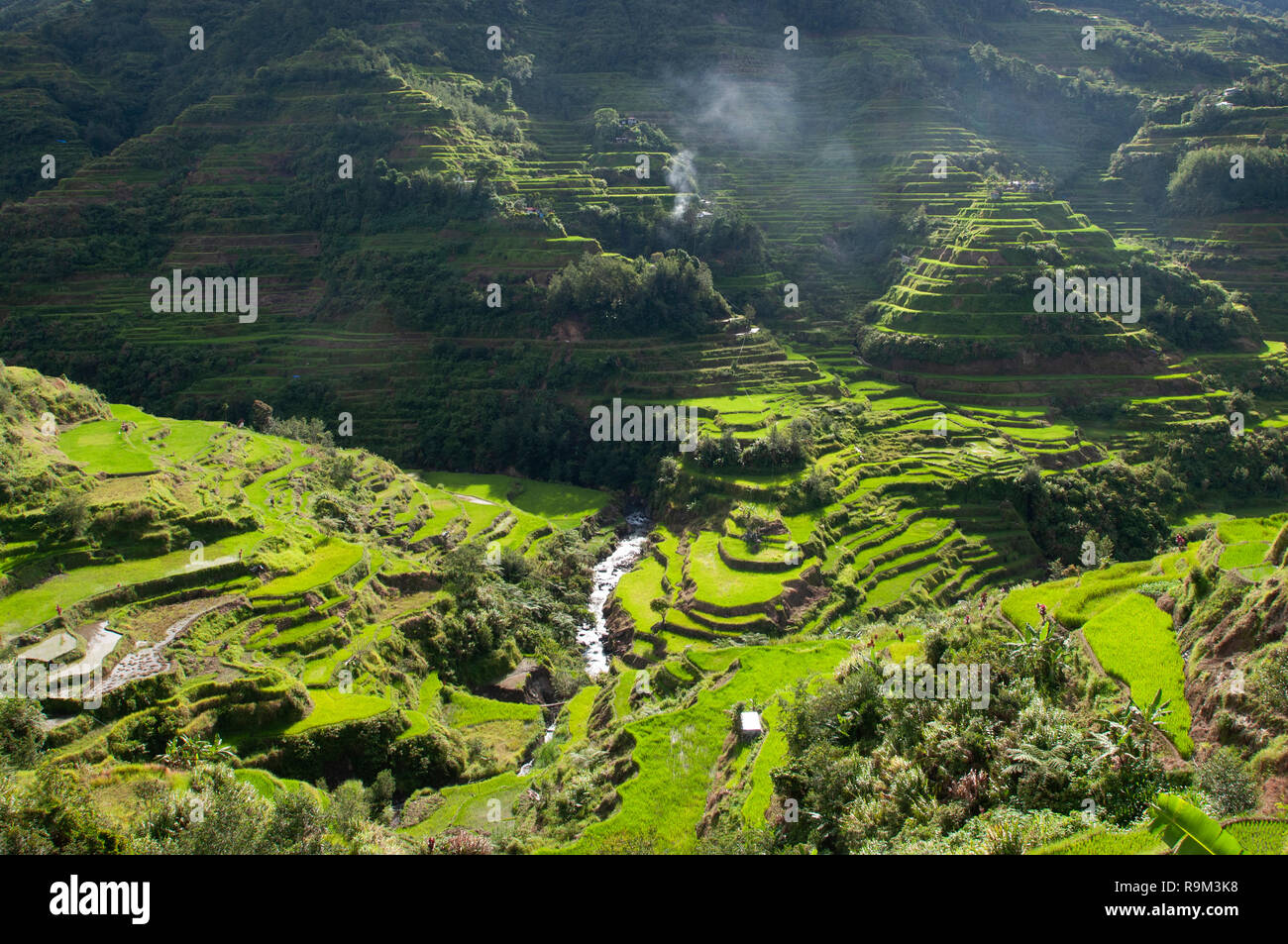 Ifugao culture hi-res stock photography and images - Alamy