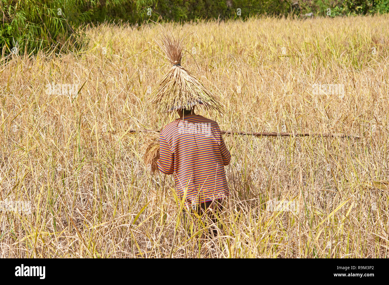 Hapao Rice Terraces, Hungduan, Ifugao Province, Cordillera Region ...