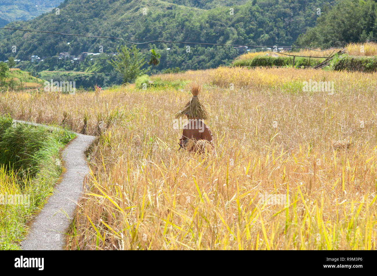 Hungduan hapao rice terraces hi-res stock photography and images - Alamy