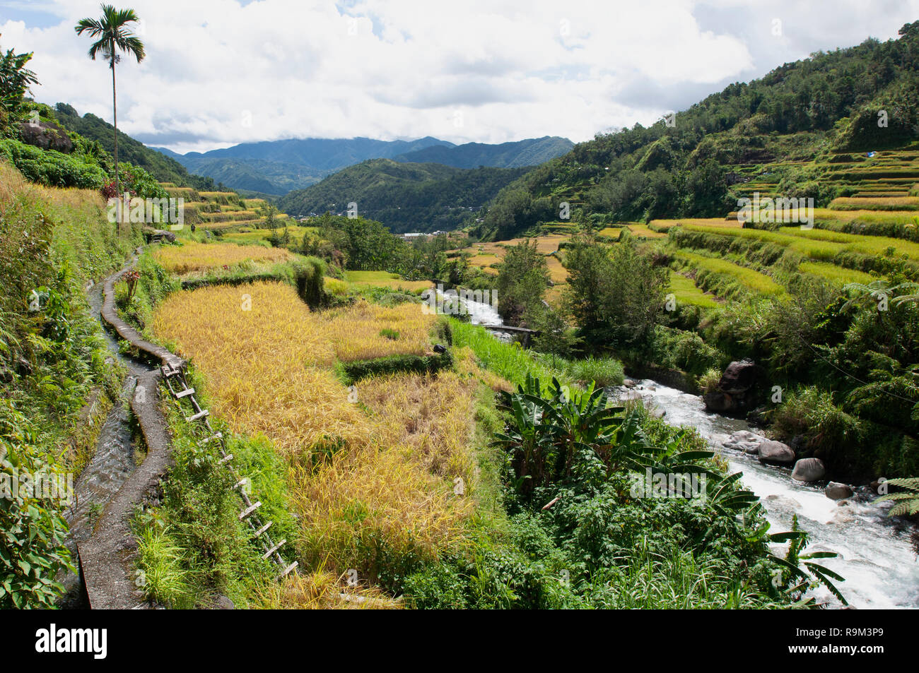 Hapao Rice Terraces, Hungduan, Ifugao Province, Cordillera Region ...