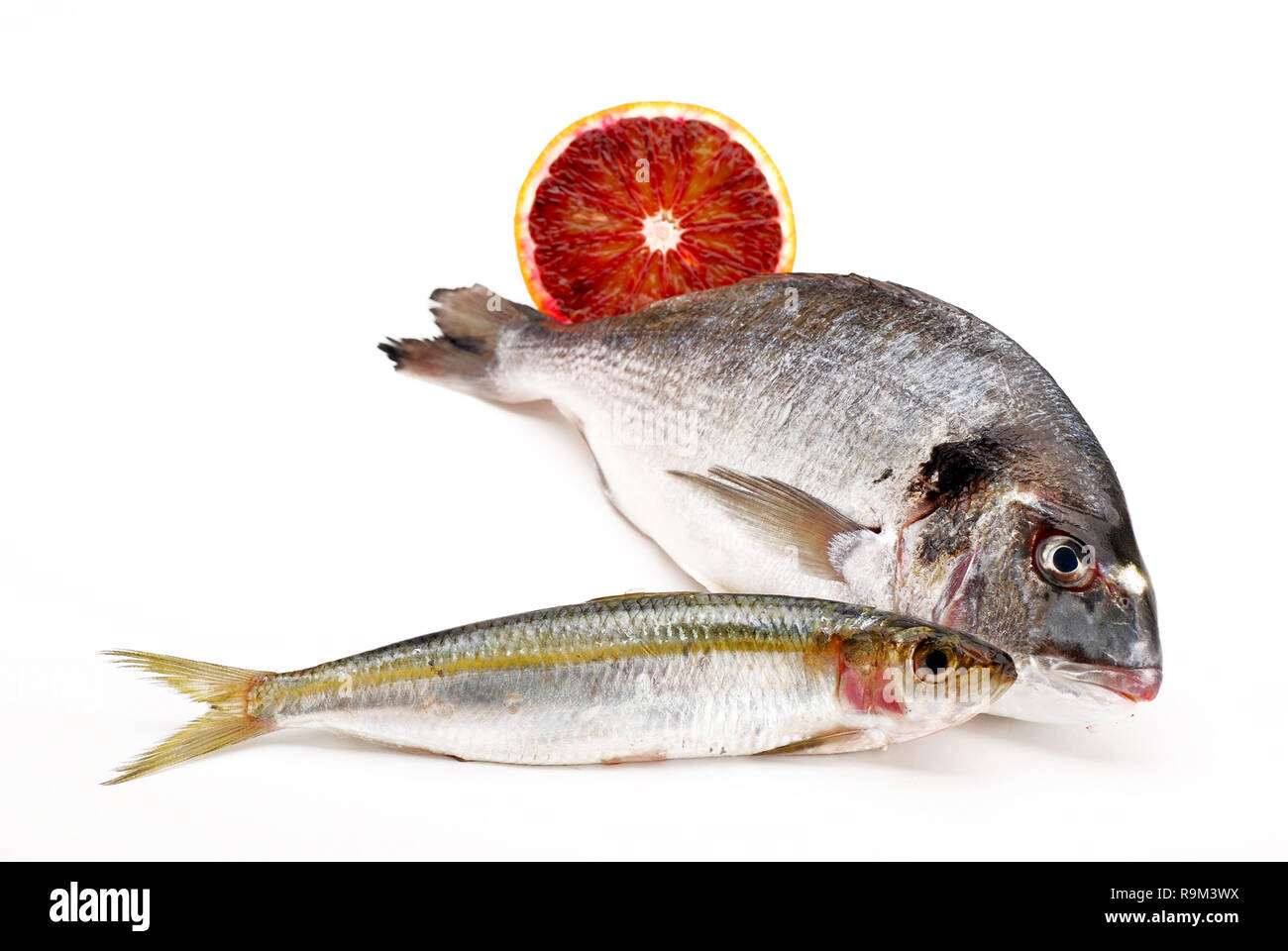 Bream bow hi-res stock photography and images - Alamy