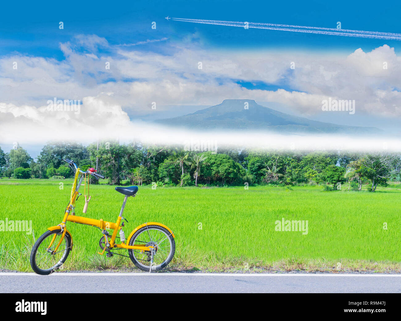 Japan bike field bird hi-res stock photography and images - Alamy