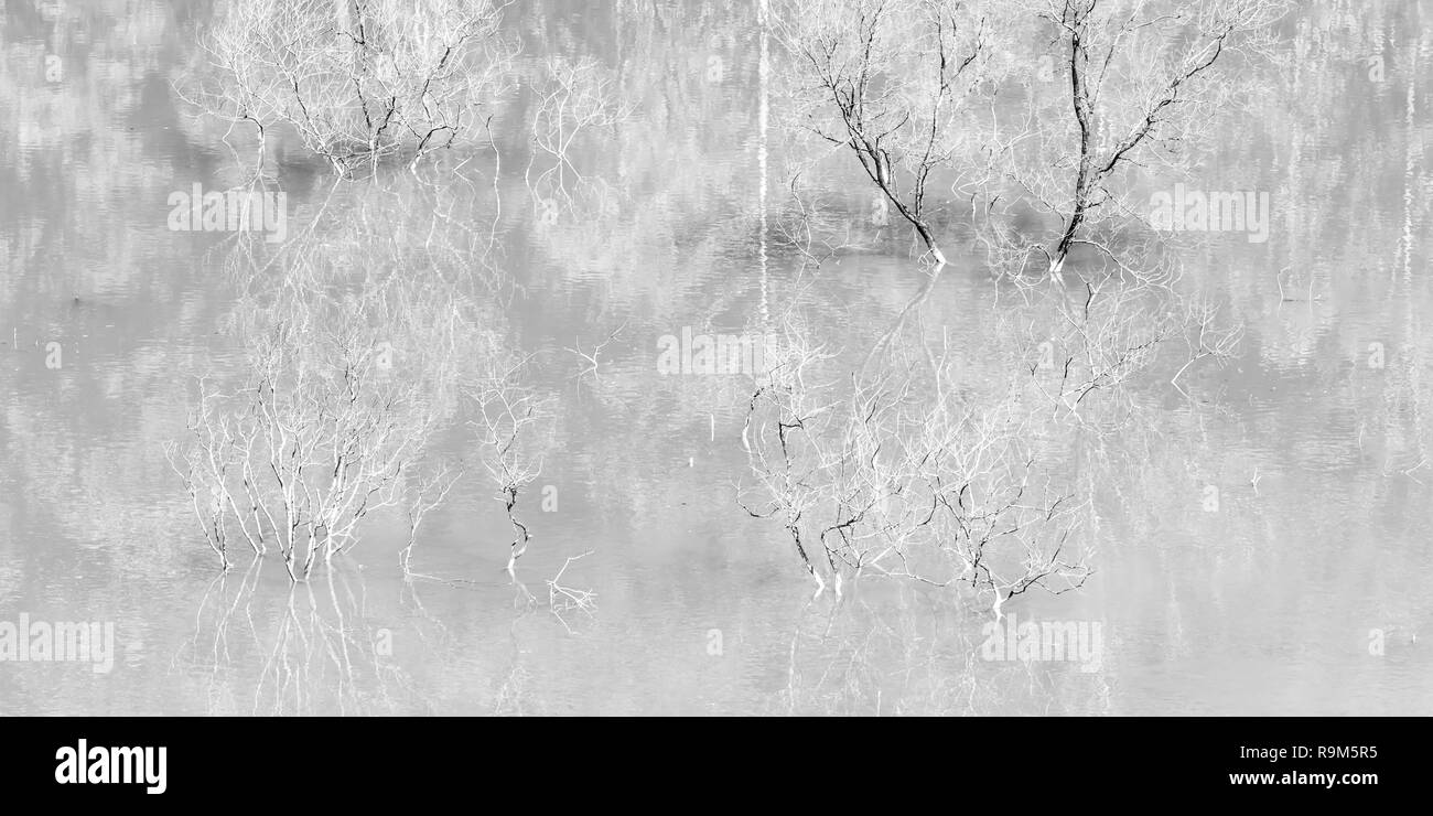 Abstract landscape hi-res stock photography and images - Alamy