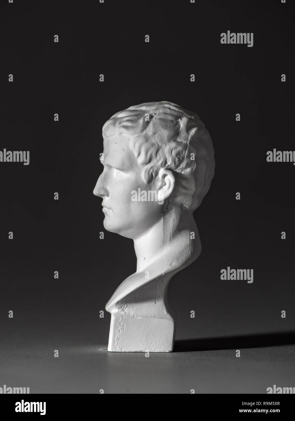 Agrippa plaster figure. for drawing Stock Photo - Alamy