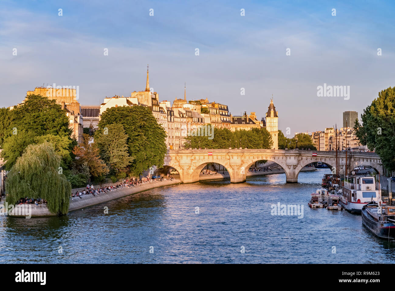 Cite island and Pont Neuf in Paris Stock Photo - Alamy