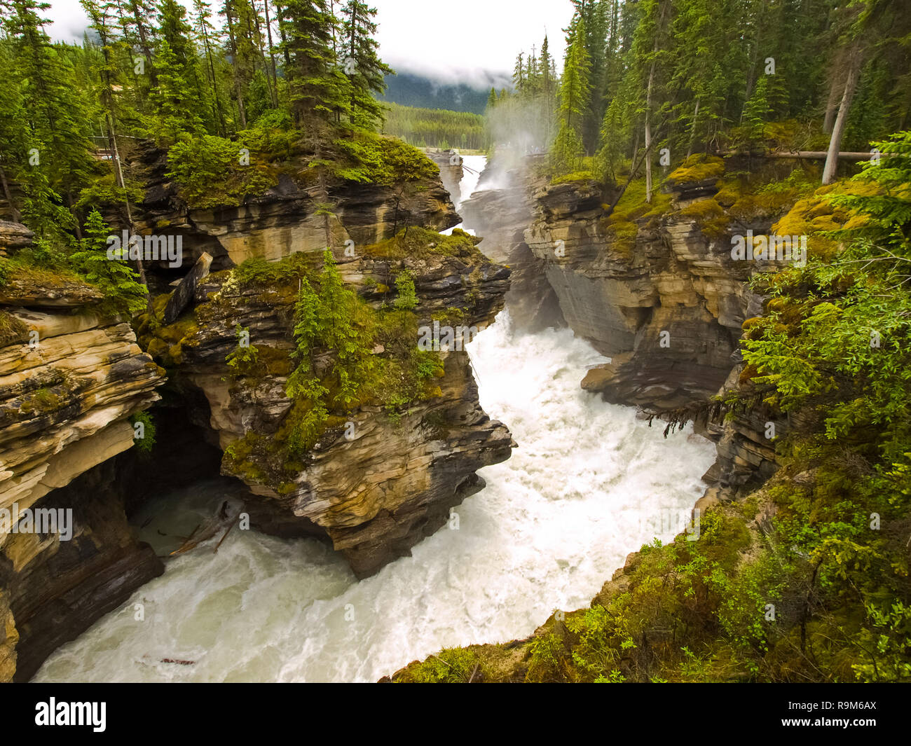 Mountain river in Canada, pristine nature. Canadian landscape Stock ...