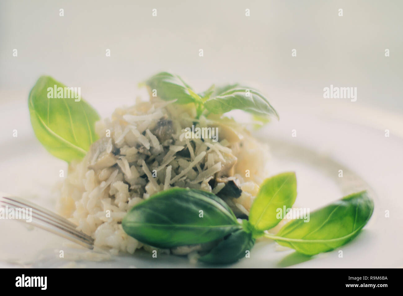european and mediterranean cuisine styled concept - mushroom risotto ...