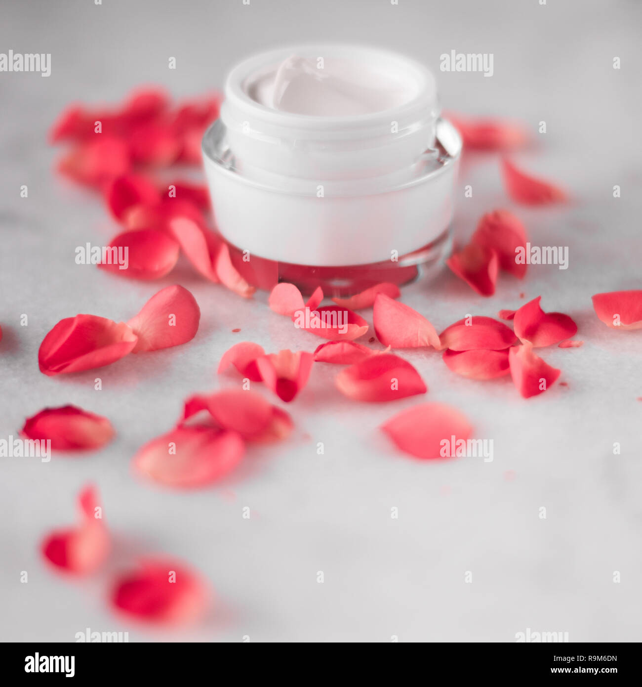 luxe face cream and rose petals - cosmetics with flowers styled beauty ...