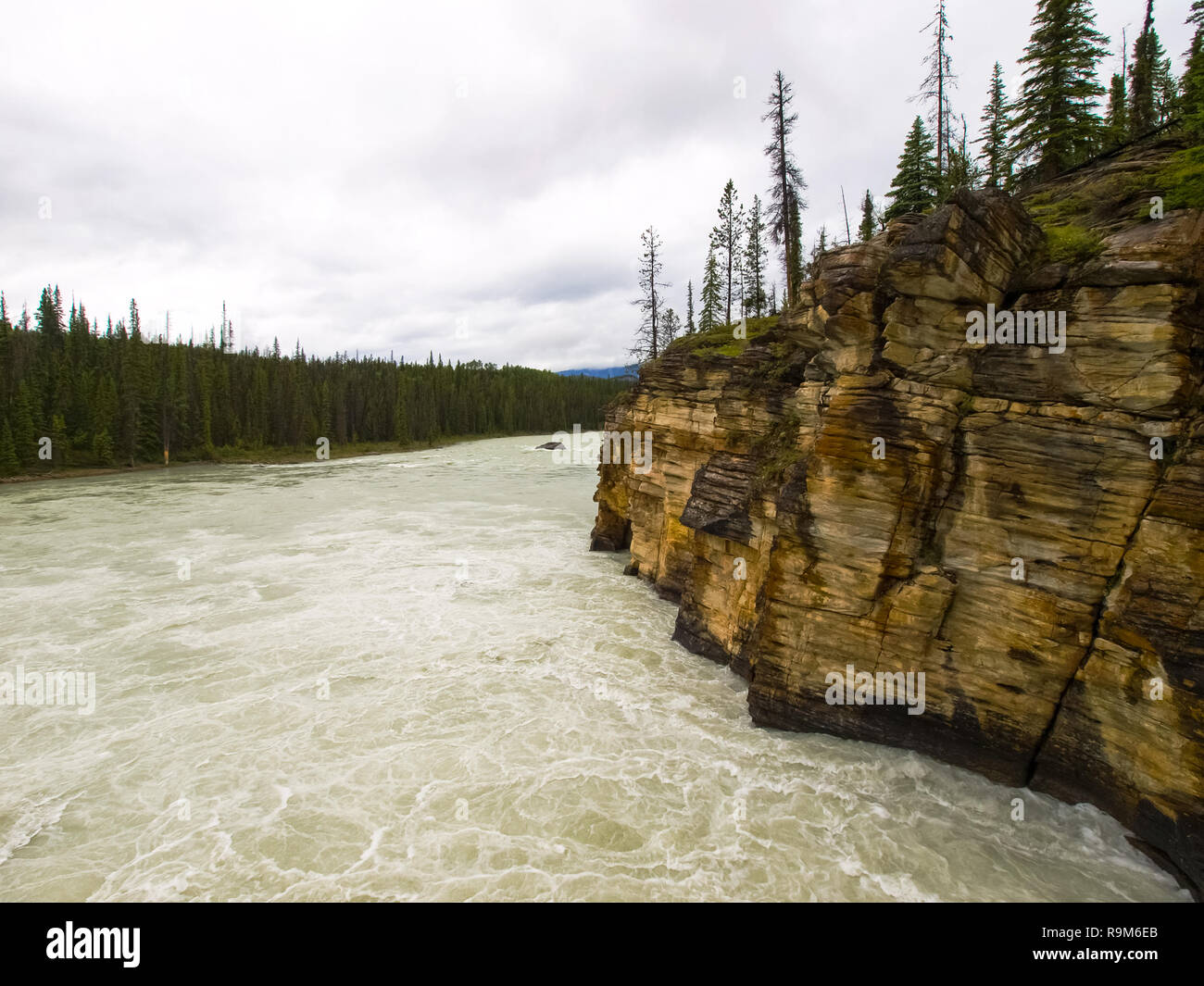 Mountain river in Canada, pristine nature. Canadian landscape Stock ...