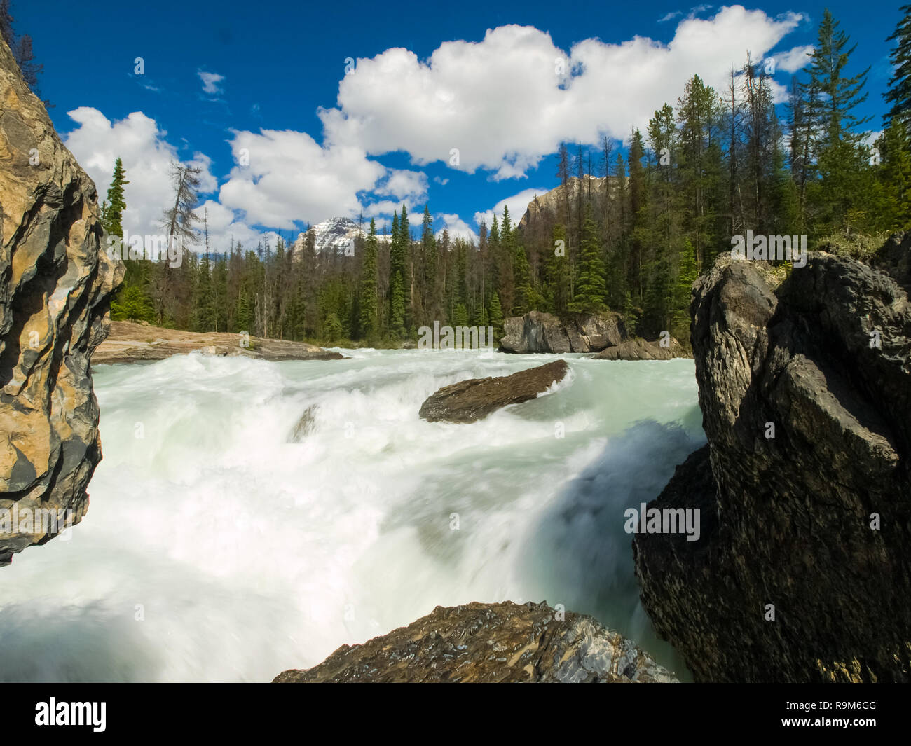 Mountain river in Canada, pristine nature. Canadian landscape Stock ...