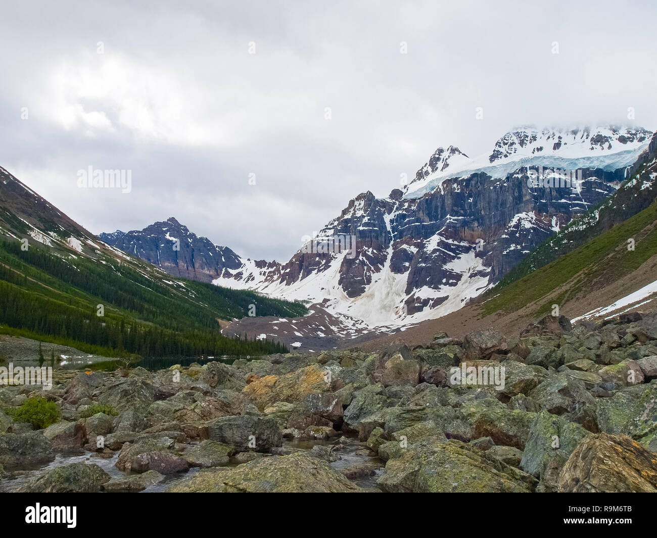Mountains and forests in Canada. The pristine nature of the Canadian ...